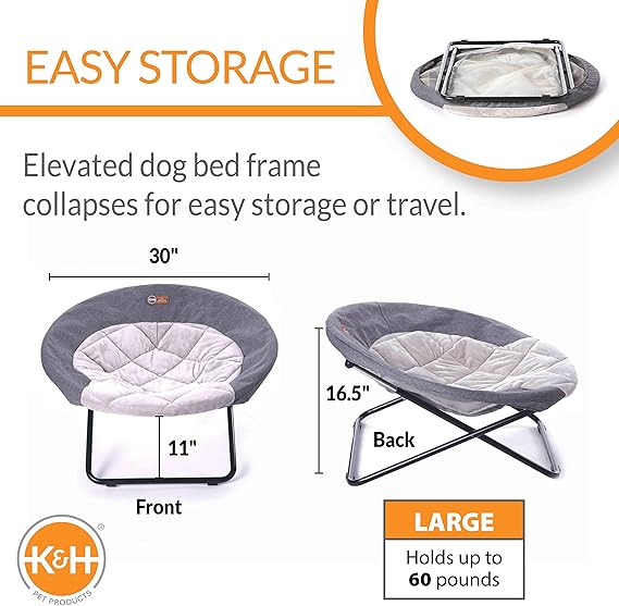 Best Elevated Cat Beds For 2025 | The Cattitude Central