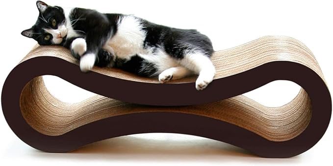 Best Cute Cat Beds 2025 | The Cattitude Central