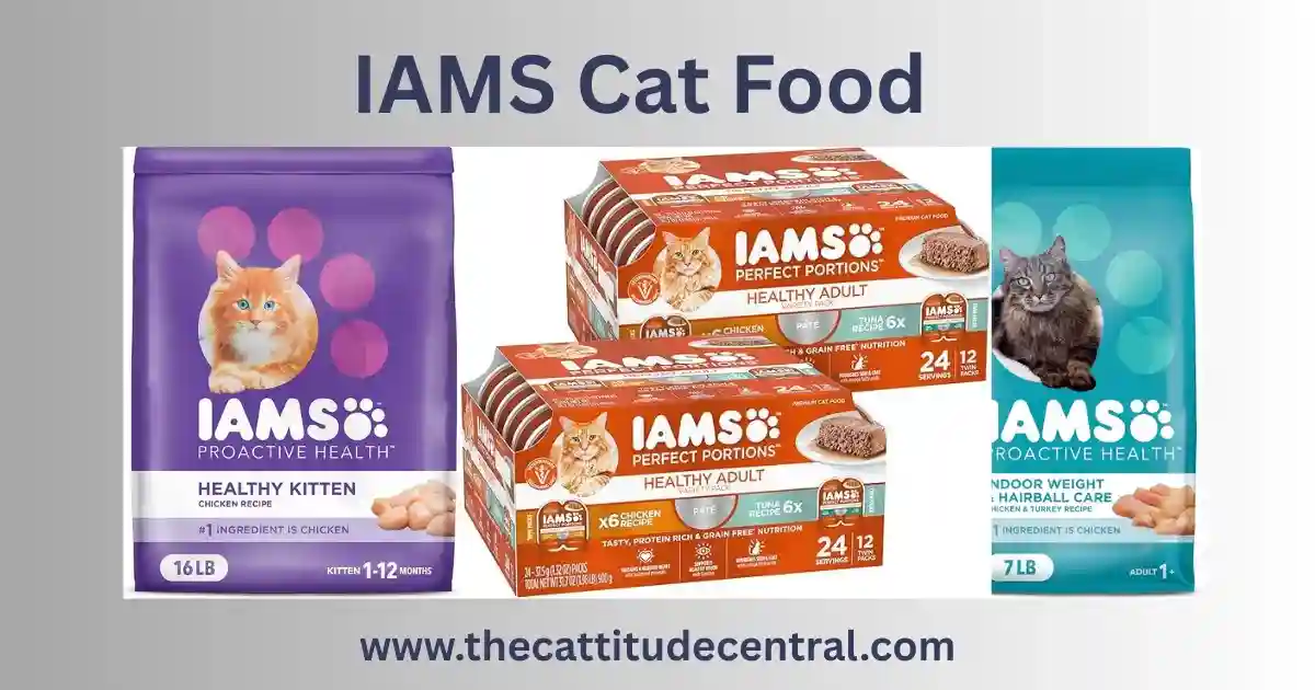 Iams Cat Food Review 2025: Complete Recipe Analysis