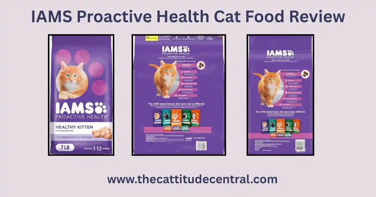 Iams Proactive Health Cat Food Review | Complete Analysis