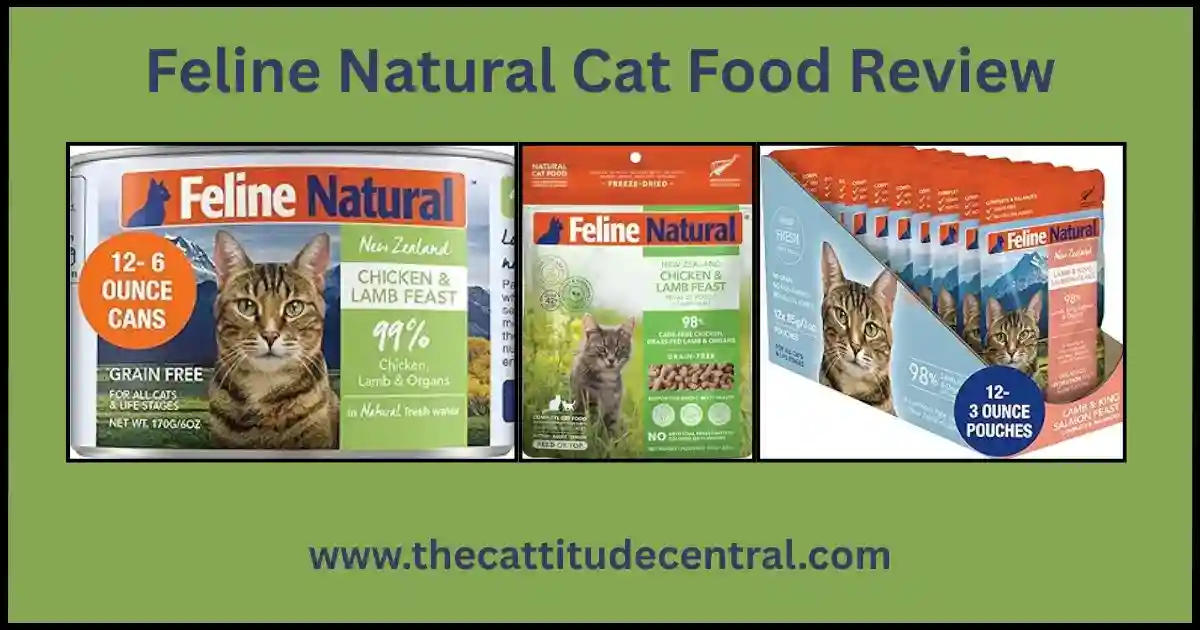 Feline Natural Cat Food Review | The Cattitude Central